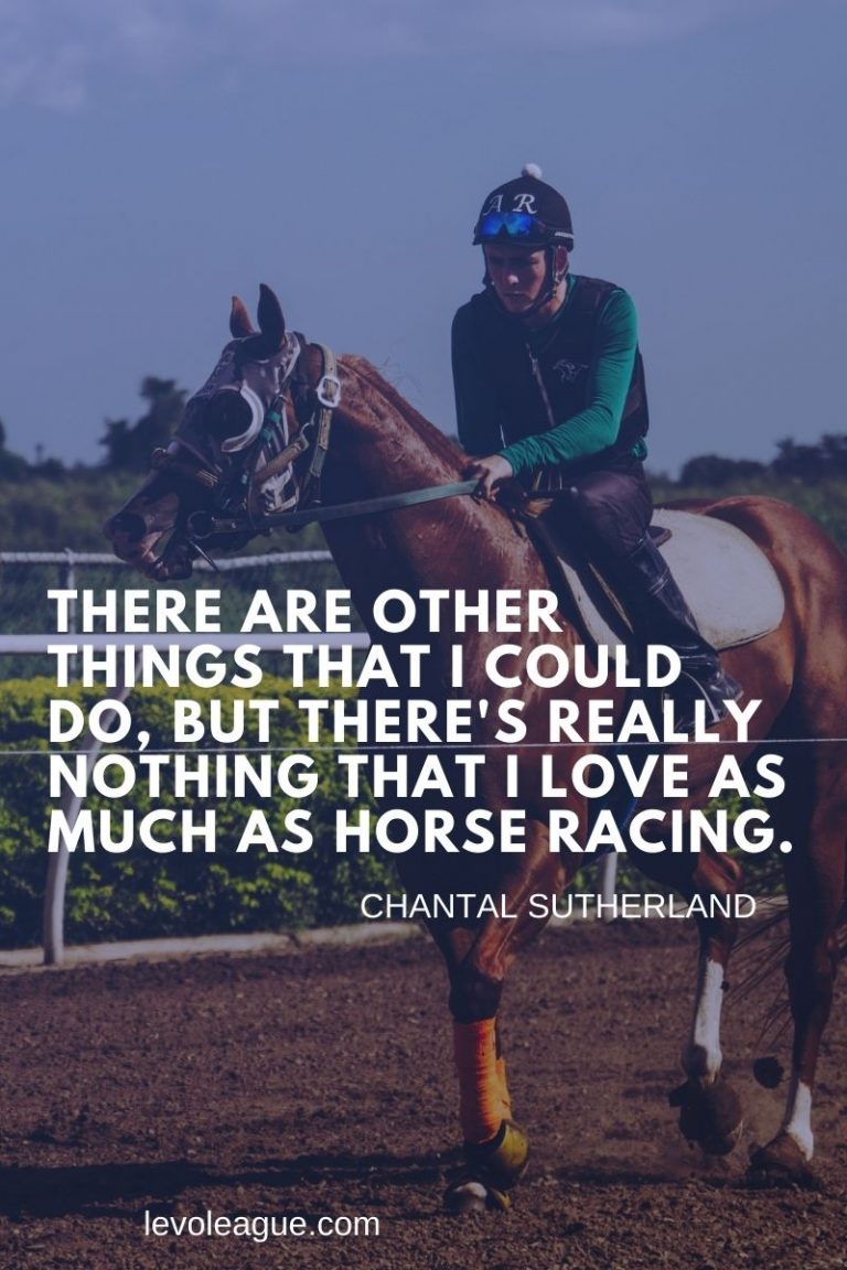 32+ Inspirational Horse Racing Quotes and Sayings | Levo League