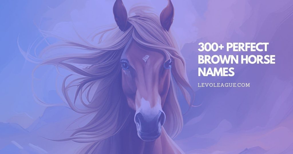 300 Arabian Horse Names and Meanings (Male and Female)