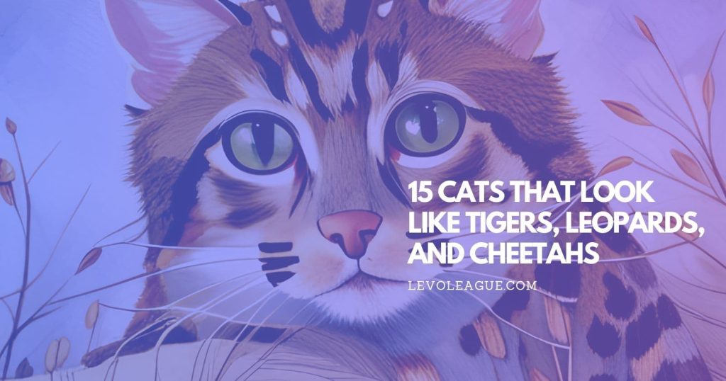 15 Cats That Look Like Tigers, Leopards, and Cheetahs (Photos)