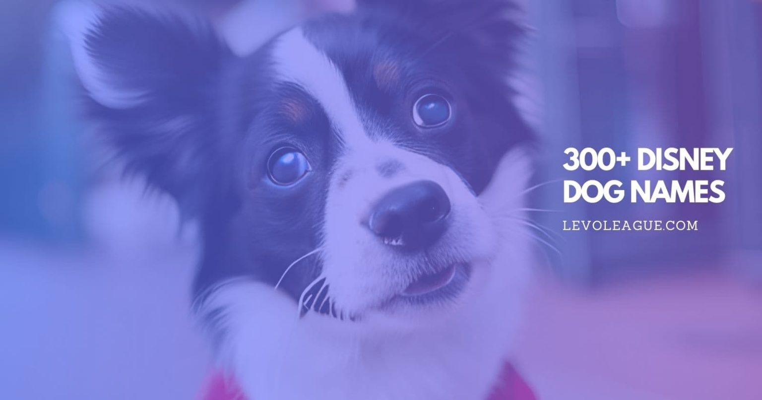 300+ Best Disney Dog Names: The Ultimate List for Your Magical Pup