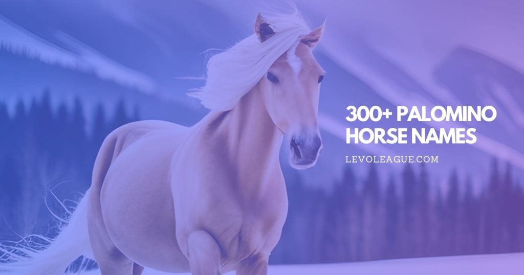 300 Arabian Horse Names and Meanings (Male and Female)