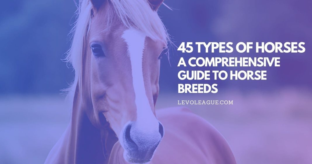 American Saddlebred Horse Breed: Facts, Temperament, Lifespan, and Care