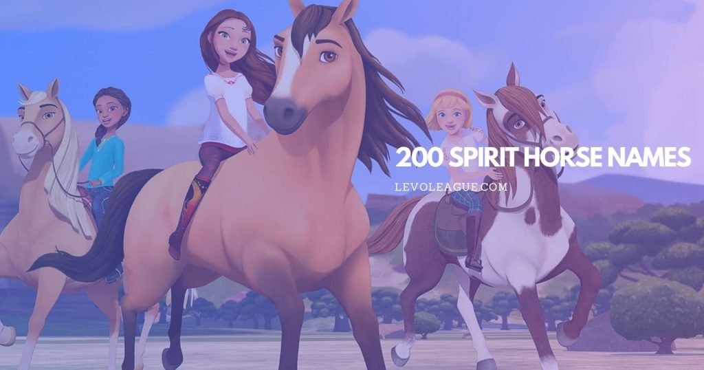 300+ Male Horse Names for Geldings & Stallions With Meanings